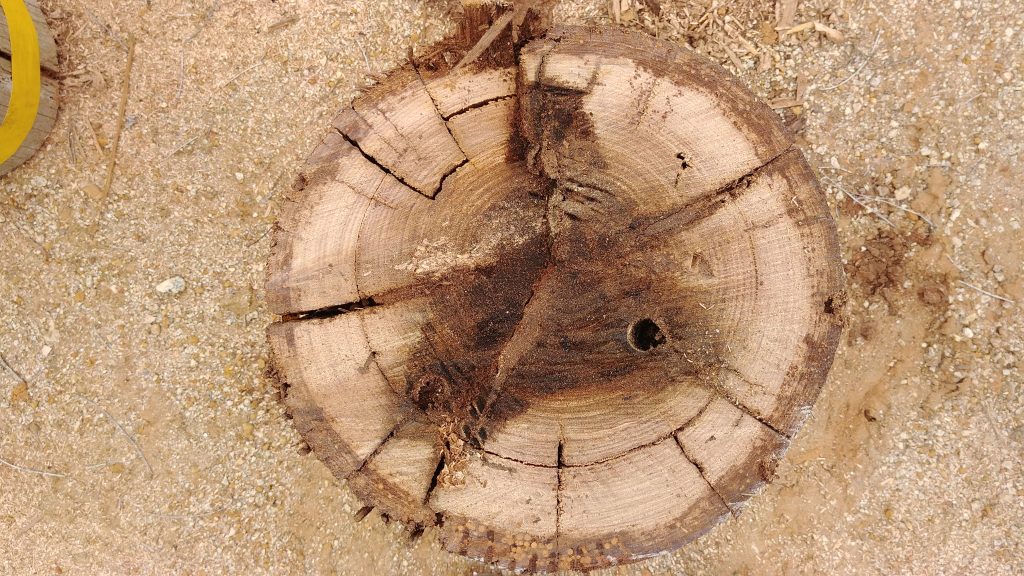 OHL Asset Inspection Basics – Wood Pole Condition Inspection - Revo Group